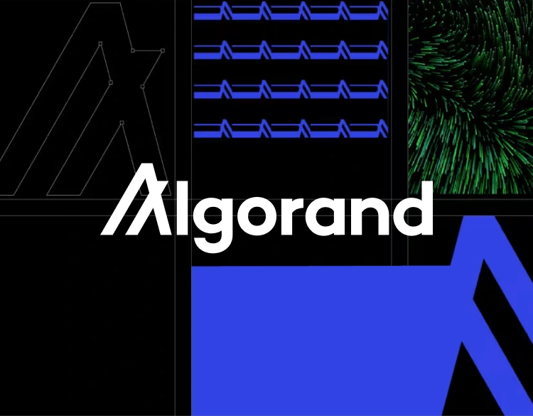 How to Add Algorand to MetaMask